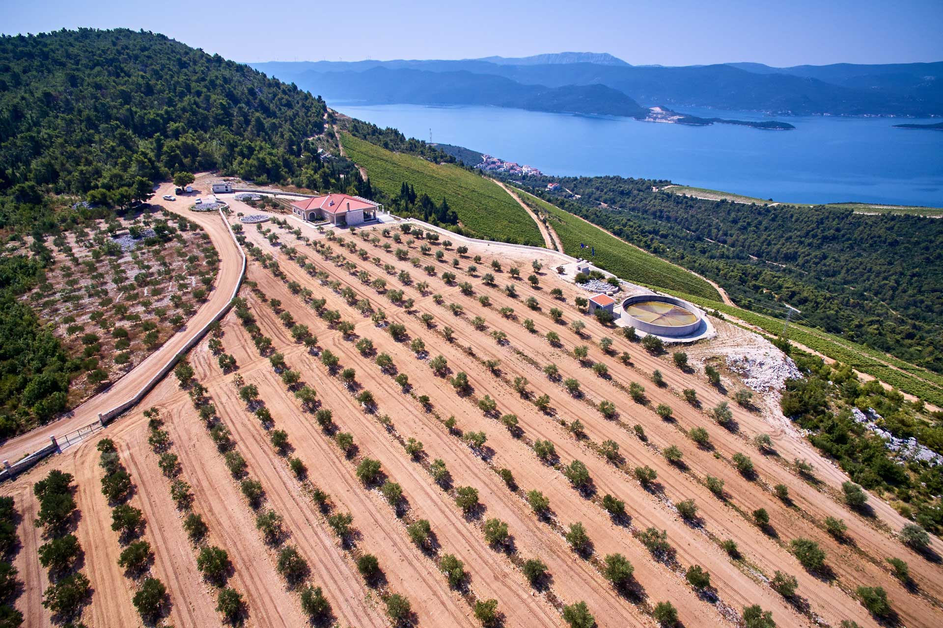 Tehničke informacije - Vinarija Rizman