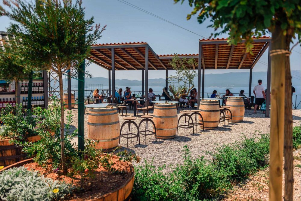 Vinarija Rizman - vina od ekološki uzgojenog grožđa iz vlastitih vinograda